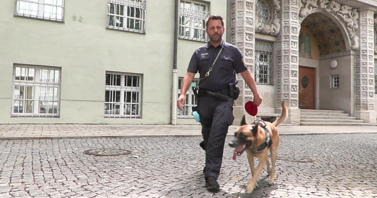 Tag der offenen Tür- Polizei München ganz nah | münchen.tv