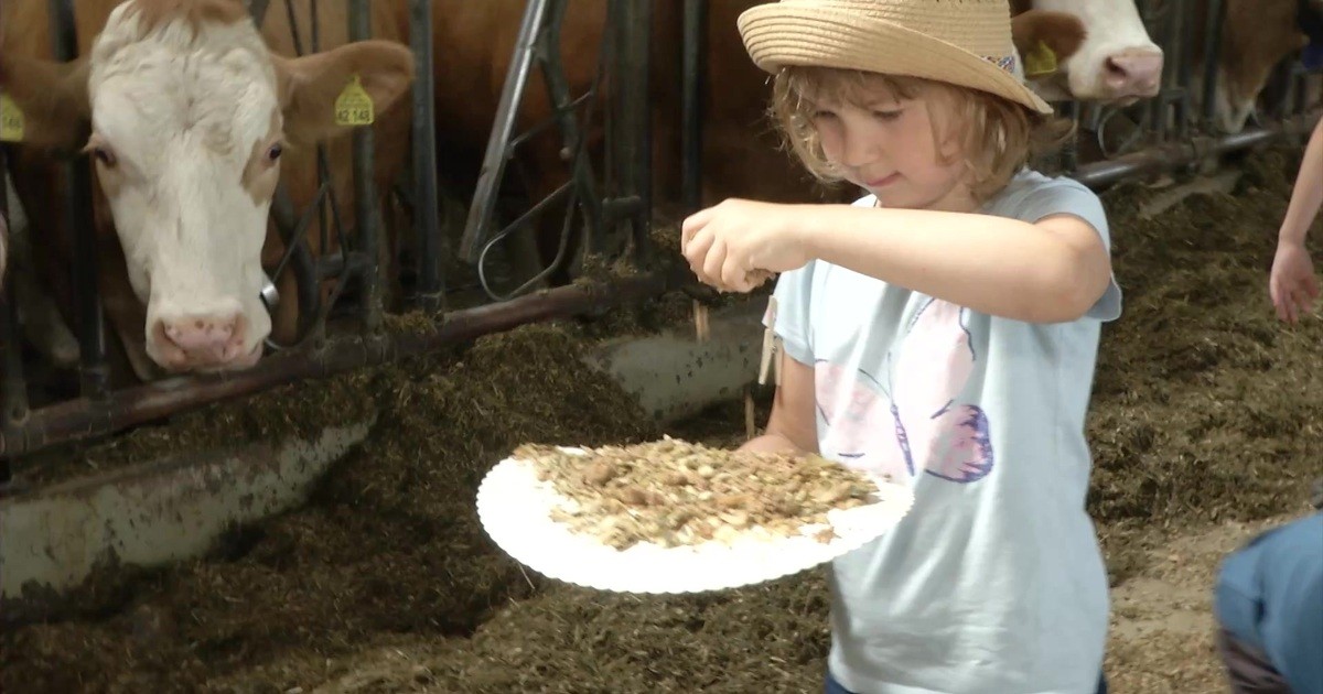 Auf dem Erlebnisbauernhof Humpl wird der Weg der Milch für Kinder anschaulich erklärt und ...